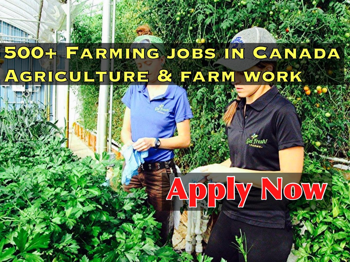 500 Farming Jobs In Canada Agriculture Farm Work Apply Now